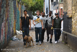 Shank | Film-Rezensionen.de