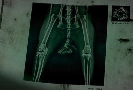 Thale – Ein dunkles Geheimnis | Film-Rezensionen.de