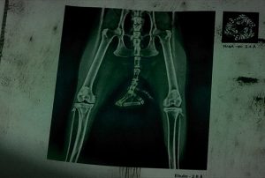 Thale – Ein dunkles Geheimnis | Film-Rezensionen.de