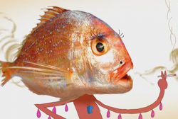 Mind Game | Film-Rezensionen.de