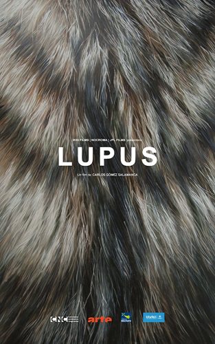 Lupus | Film-Rezensionen.de