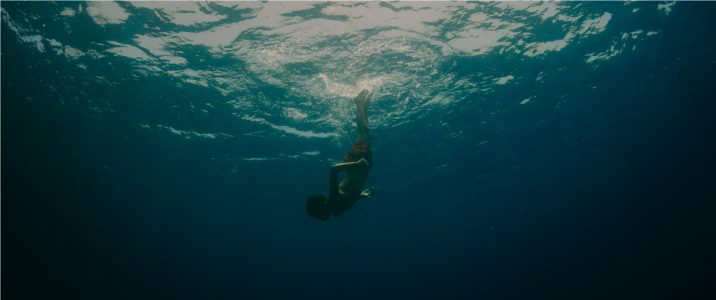 Evolution (2015) | Film-Rezensionen.de