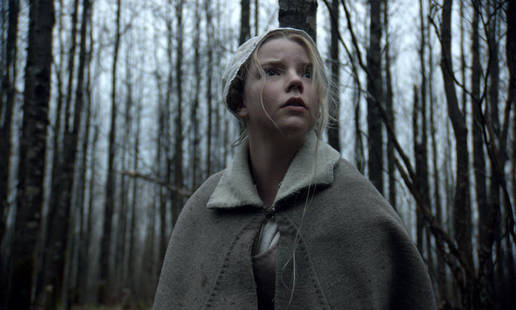 The Witch The Witch
