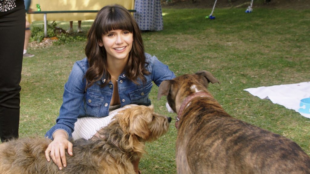 Dog Days | Film-Rezensionen.de