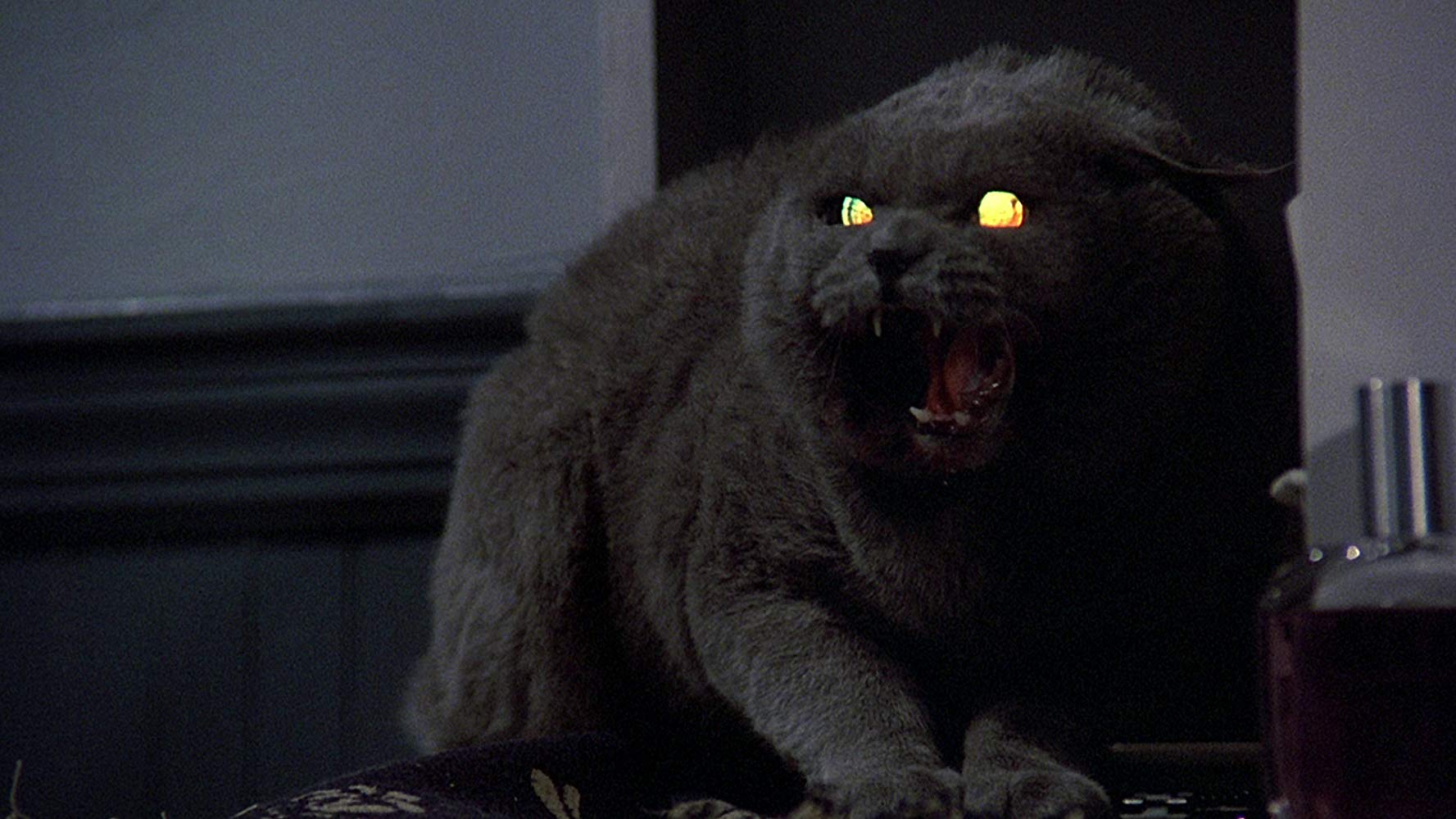 Friedhof Der Kuscheltiere 1989 Film Rezensionen de