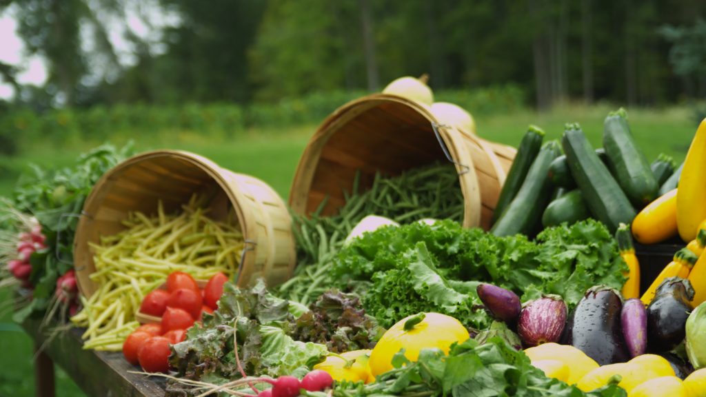 Eating You Alive | Film-Rezensionen.de