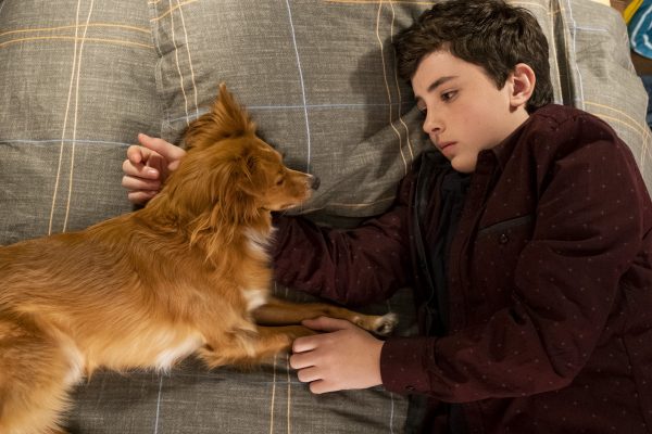 Laurel Emory | Film-Rezensionen.de