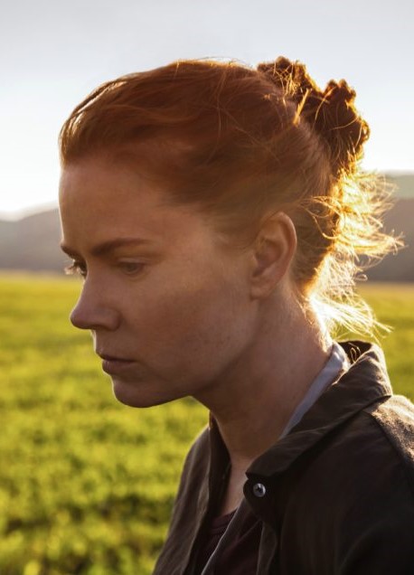 Amy Adams | Film-Rezensionen.de