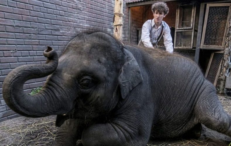 Der Zoo | Film-Rezensionen.de
