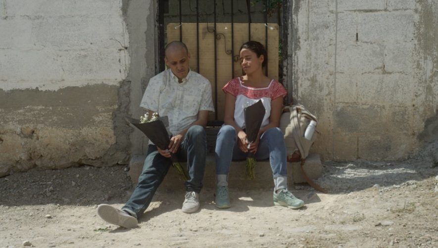 Fauna | Film-Rezensionen.de