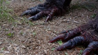Big Bad Rat | Film-Rezensionen.de