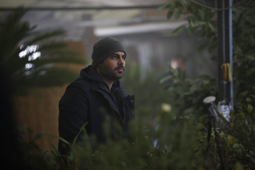 Giulio Pranno | Film-Rezensionen.de