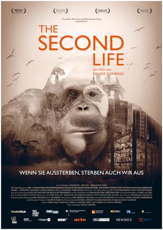 The Second Life | Film-Rezensionen.de