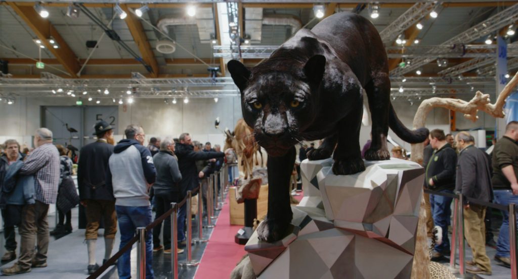 The Second Life | Film-Rezensionen.de