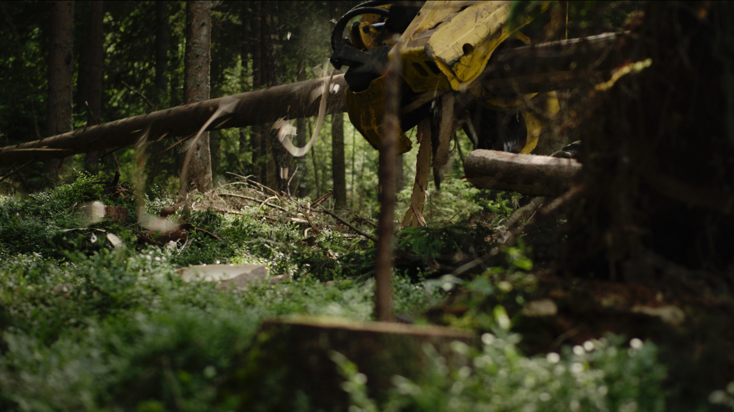 Woid | Film-Rezensionen.de