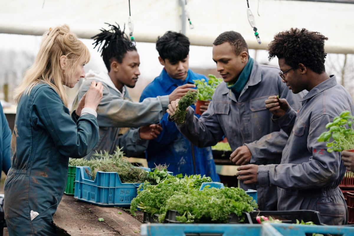 Die Küchenbrigade | Film-Rezensionen.de