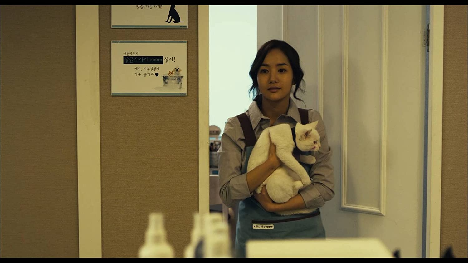 The Cat | Film-Rezensionen.de