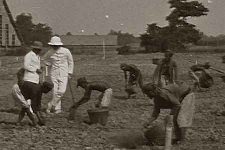 Tropic Fever Vorschau | Film-Rezensionen.de