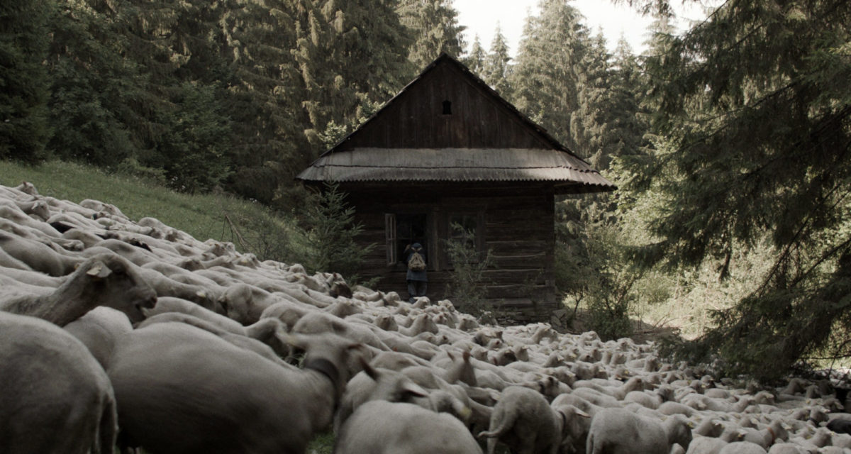 Nightsiren | Film-Rezensionen.de