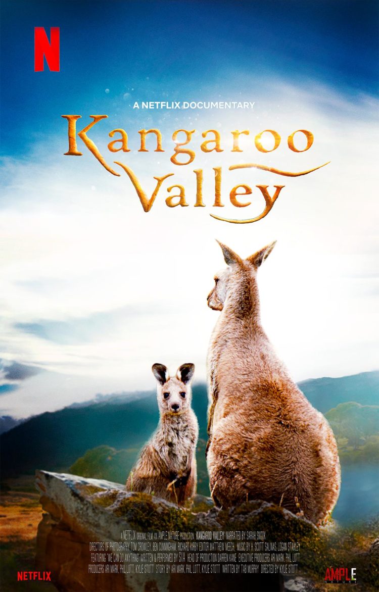 Kangaroo Valley | Film-Rezensionen.de