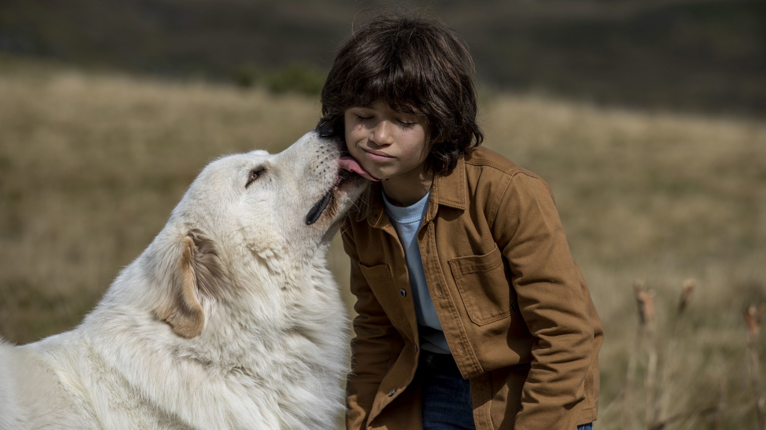 Belle & Sebastian – Ein Sommer voller Abenteuer | Film-Rezensionen.de