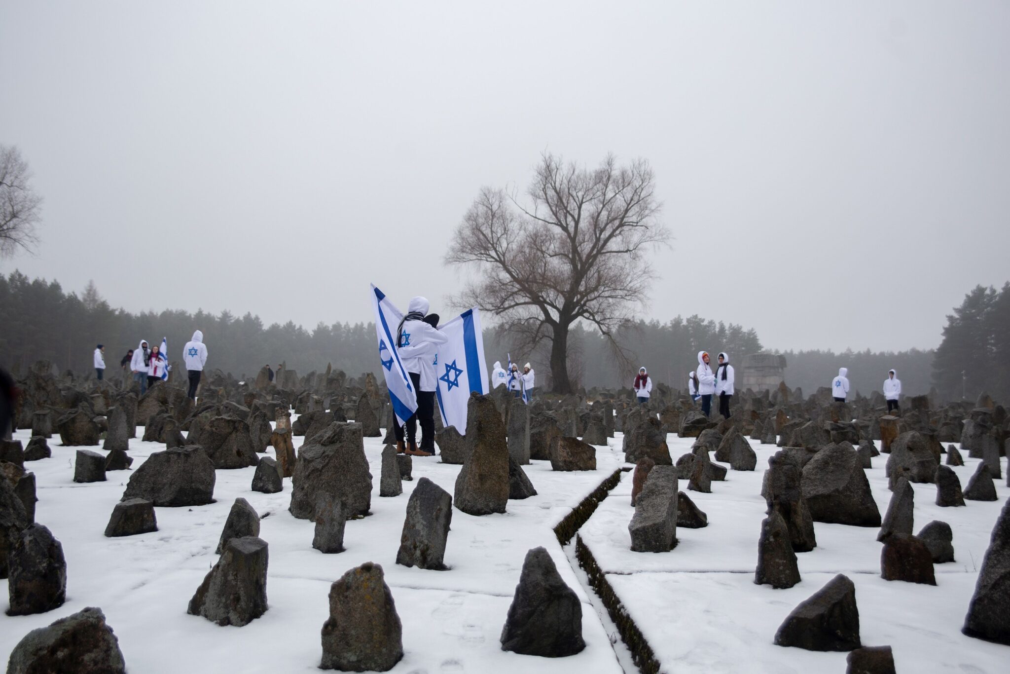 Delegation | Film-Rezensionen.de