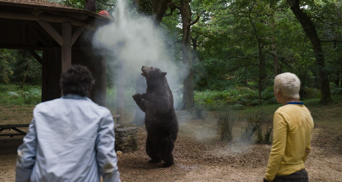 Cocaine Bear | Film-Rezensionen.de