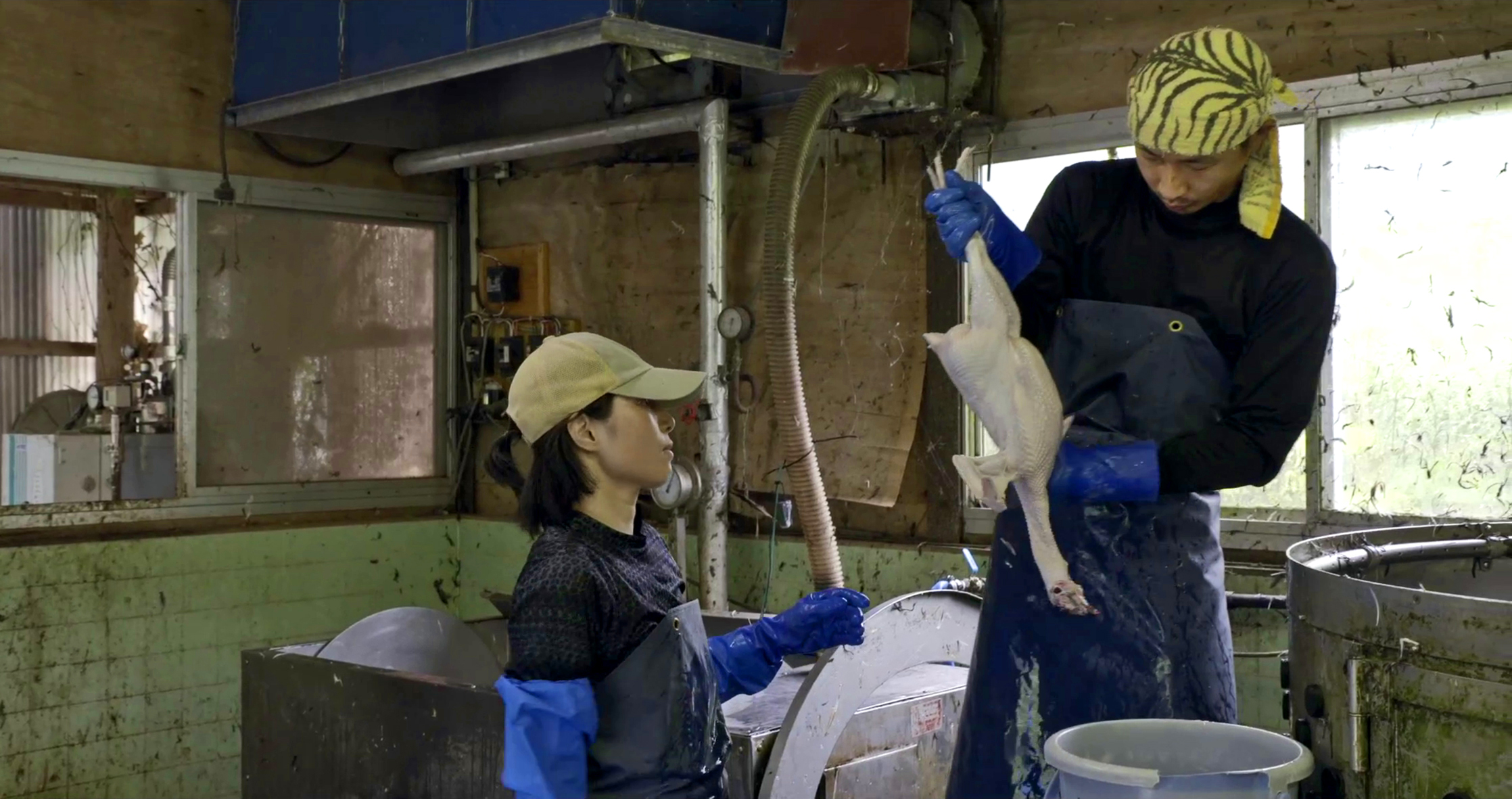 Miyama, Kyoto Prefecture | Film-Rezensionen.de