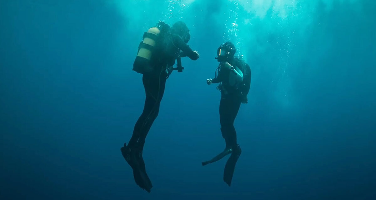 The Dive | Film-Rezensionen.de