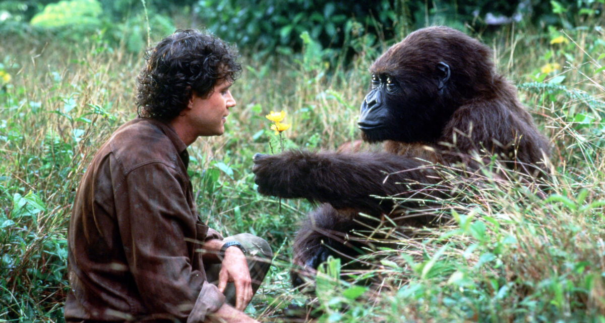 Congo | Film-Rezensionen.de