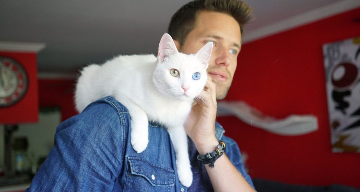 Cat Daddies – Freunde für sieben Leben | Film-Rezensionen.de