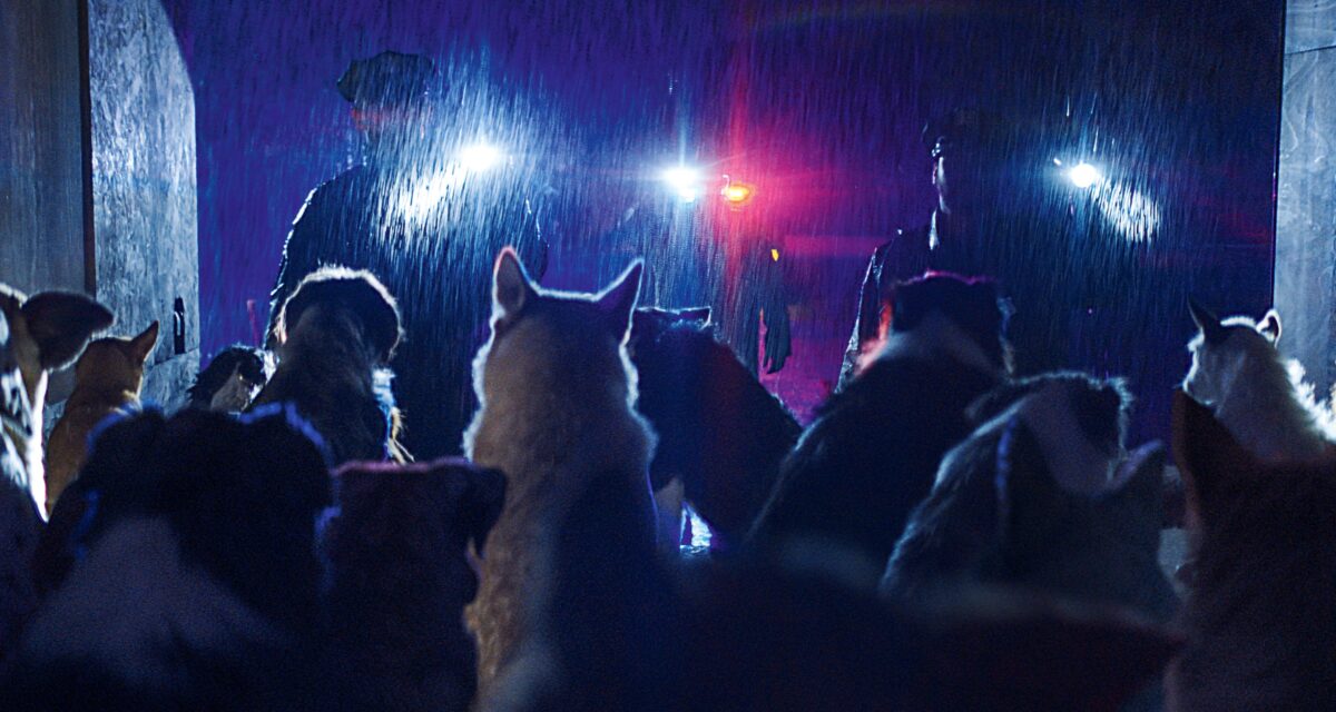 DogMan (2023) | Film-Rezensionen.de
