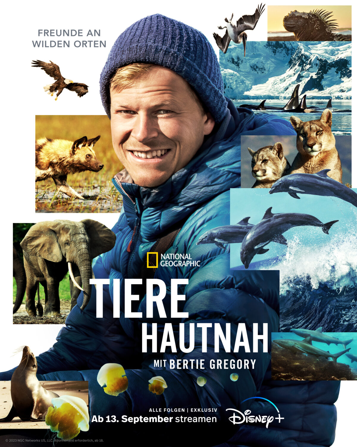 Tiere hautnah mit Bertie Gregory | Film-Rezensionen.de