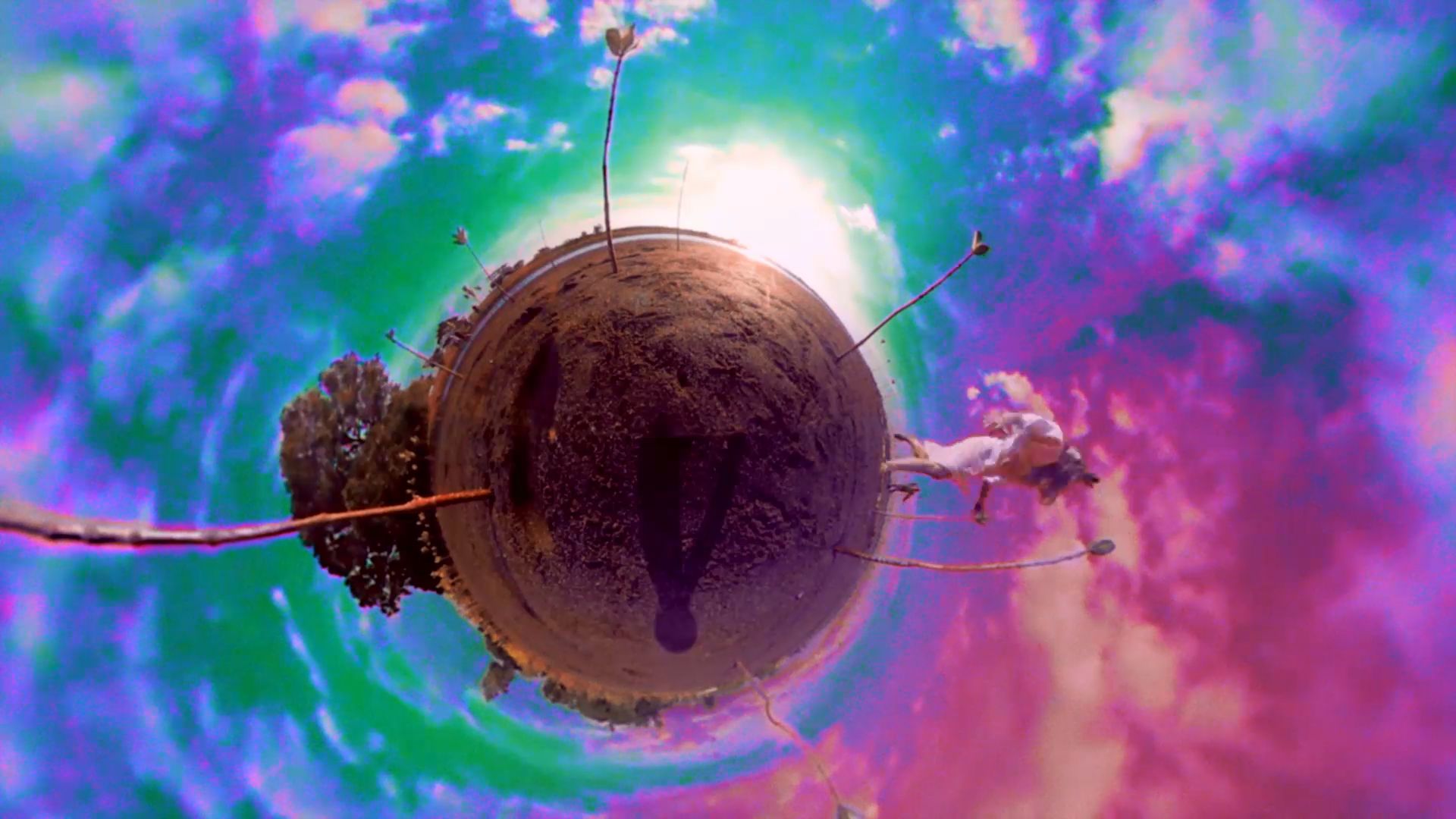 Love Is a Dog From Hell | Film-Rezensionen.de