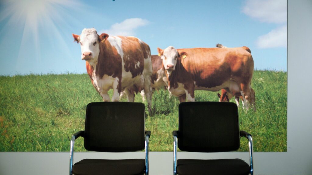 Wir und das Tier – Ein Schlachthausmelodram | Film-Rezensionen.de