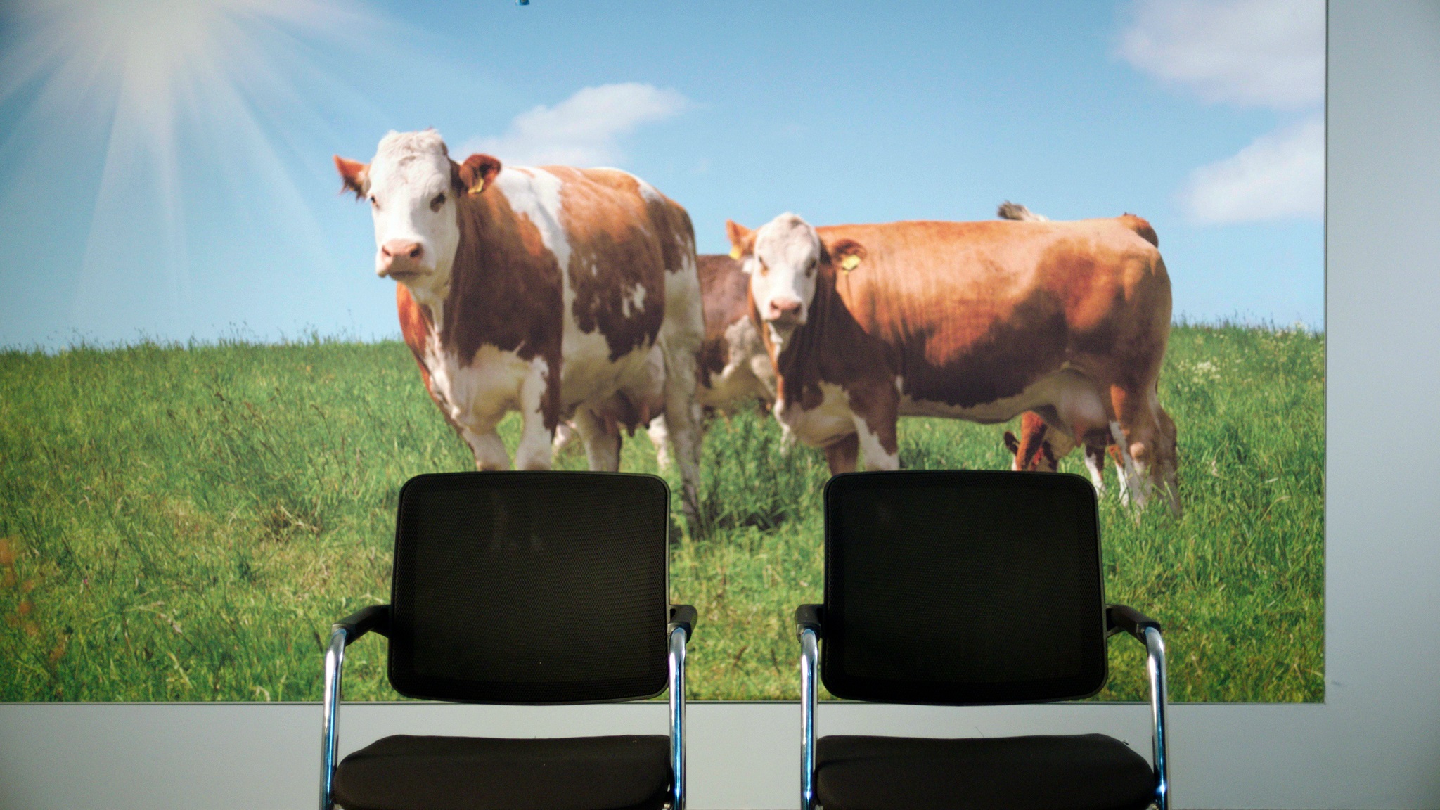 Wir und das Tier Frontpage | Film-Rezensionen.de