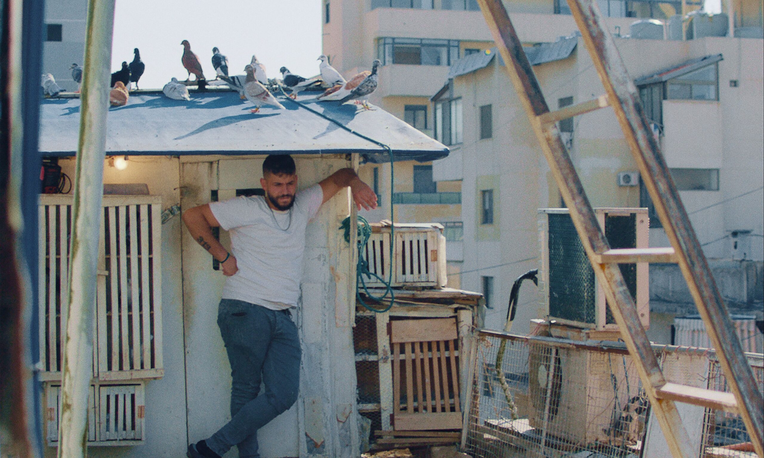 Kash Kash Frontpage | Film-Rezensionen.de