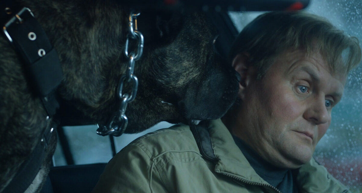 Devid Striesow [Interview] | Film-Rezensionen.de