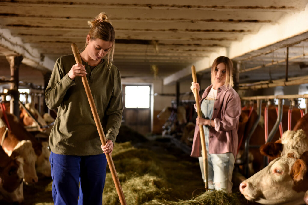 Frühling: Holla, die Waldfee | Film-Rezensionen.de
