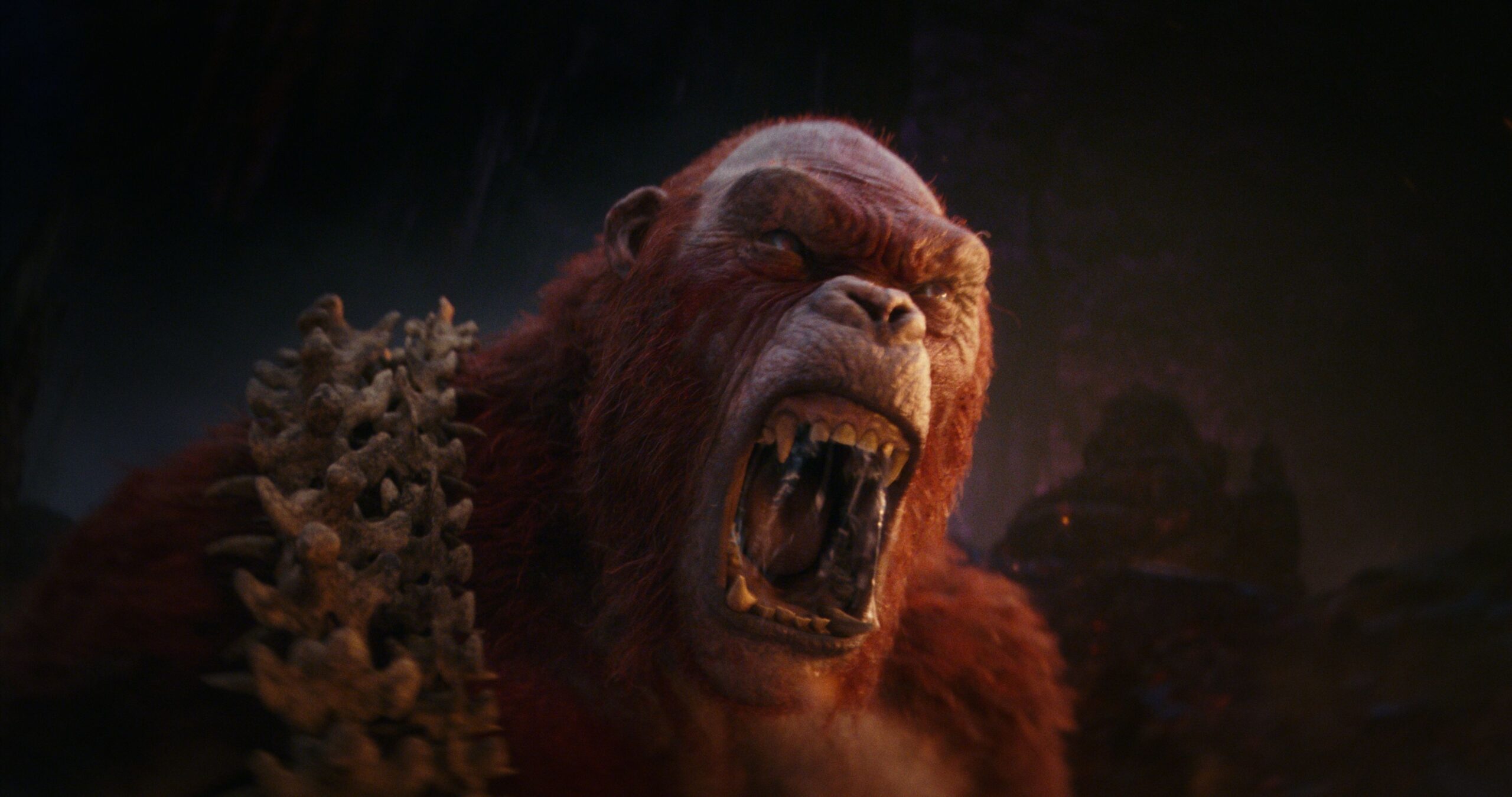 Godzilla X Kong The New Empire Szene 11 Film Rezensionen De