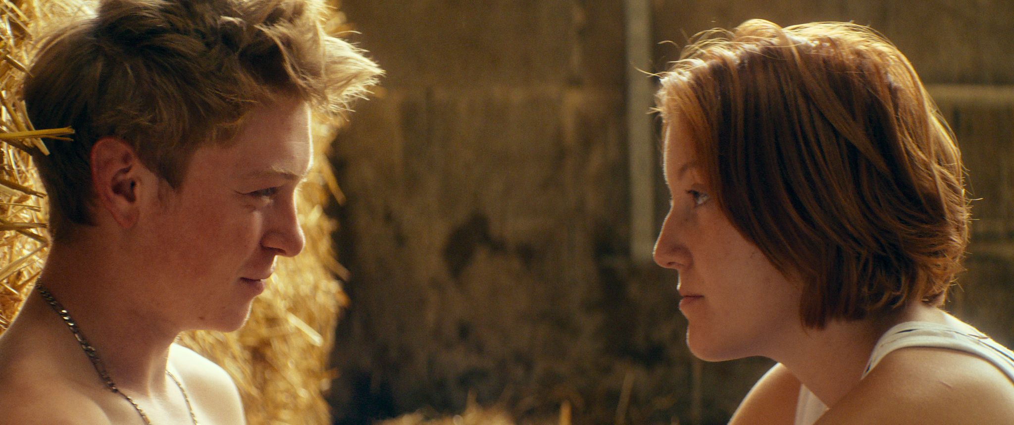 Könige des Sommers | Film-Rezensionen.de