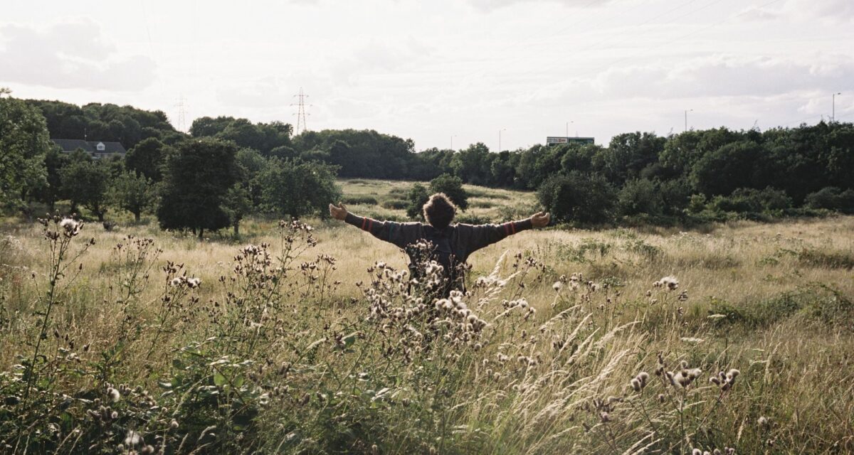 Bird (2024) | Film-Rezensionen.de