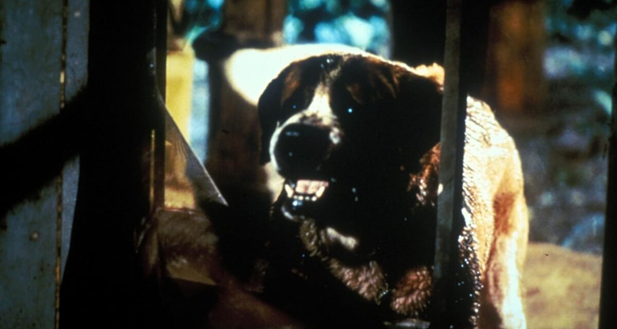 Cujo | Film-Rezensionen.de