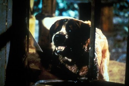 Cujo Vorschau | Film-Rezensionen.de