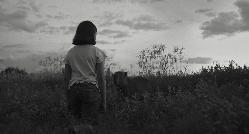 The Message | Film-Rezensionen.de