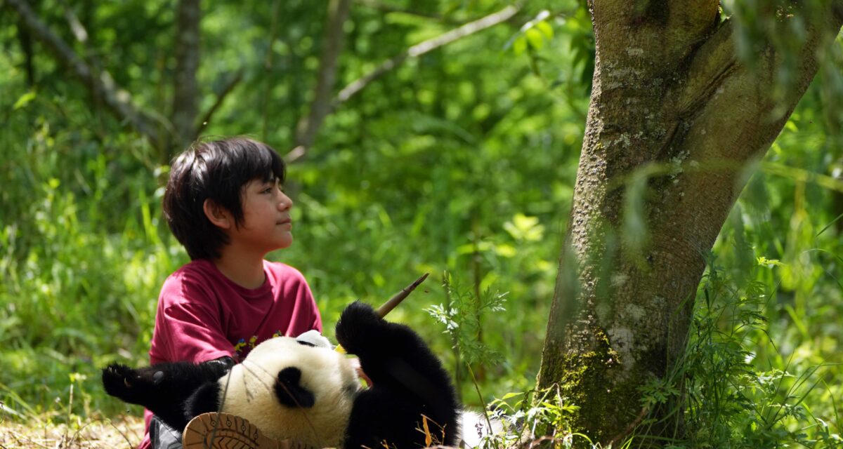Moon, der Panda | Film-Rezensionen.de