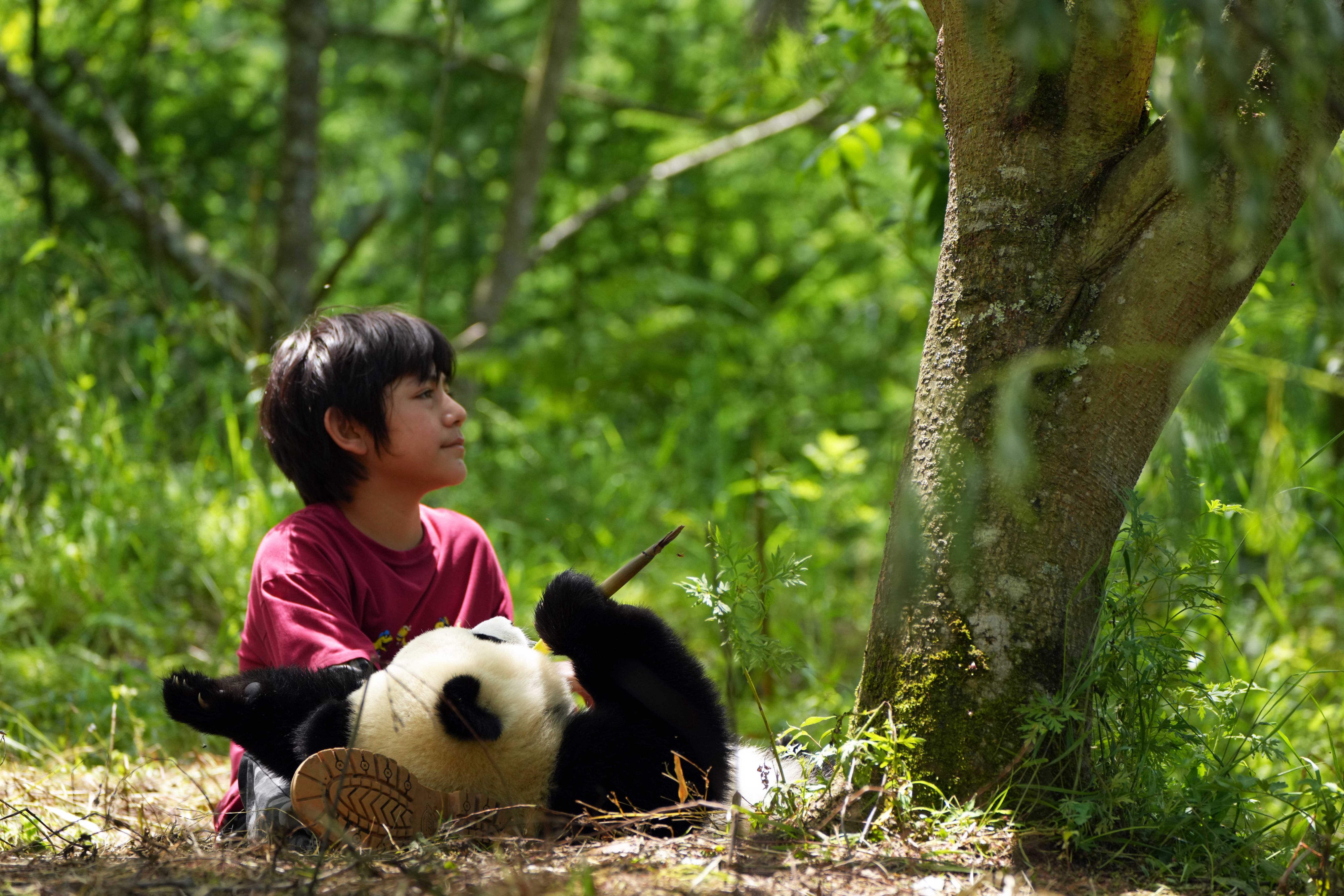 Moon der Panda Frontpage | Film-Rezensionen.de