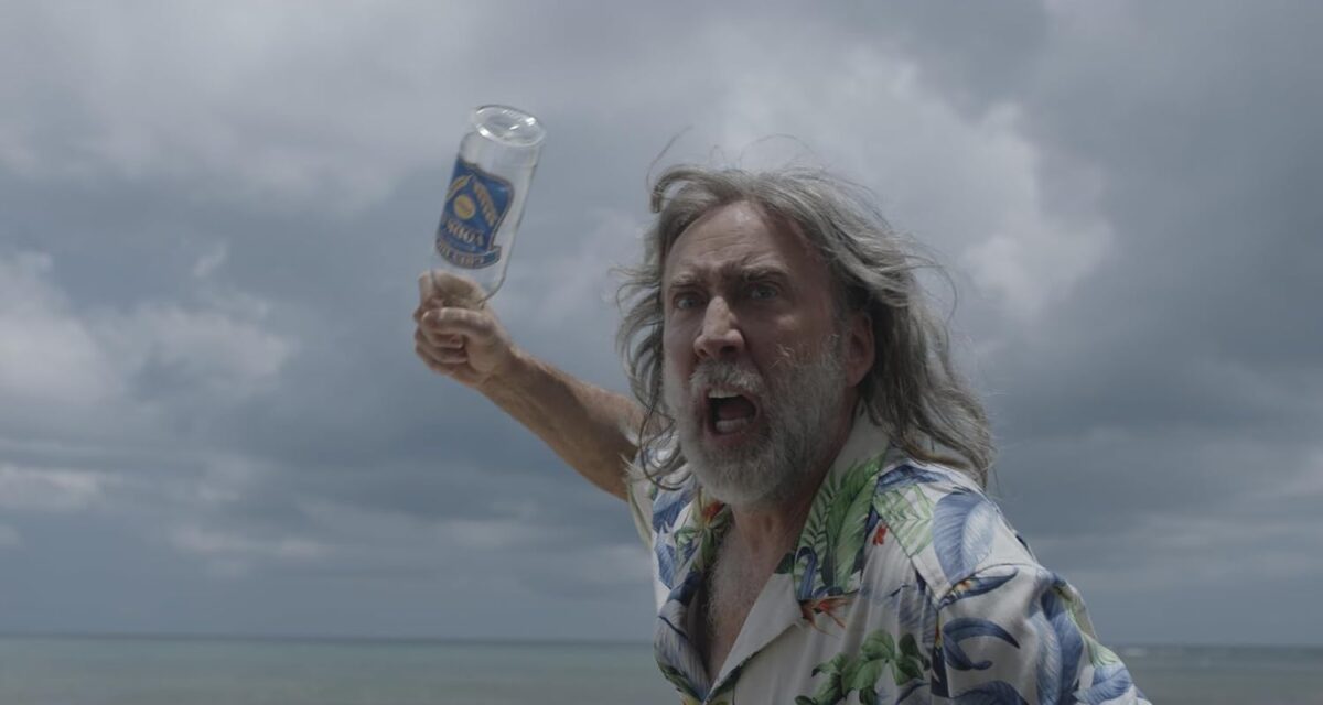 The Surfer | Film-Rezensionen.de