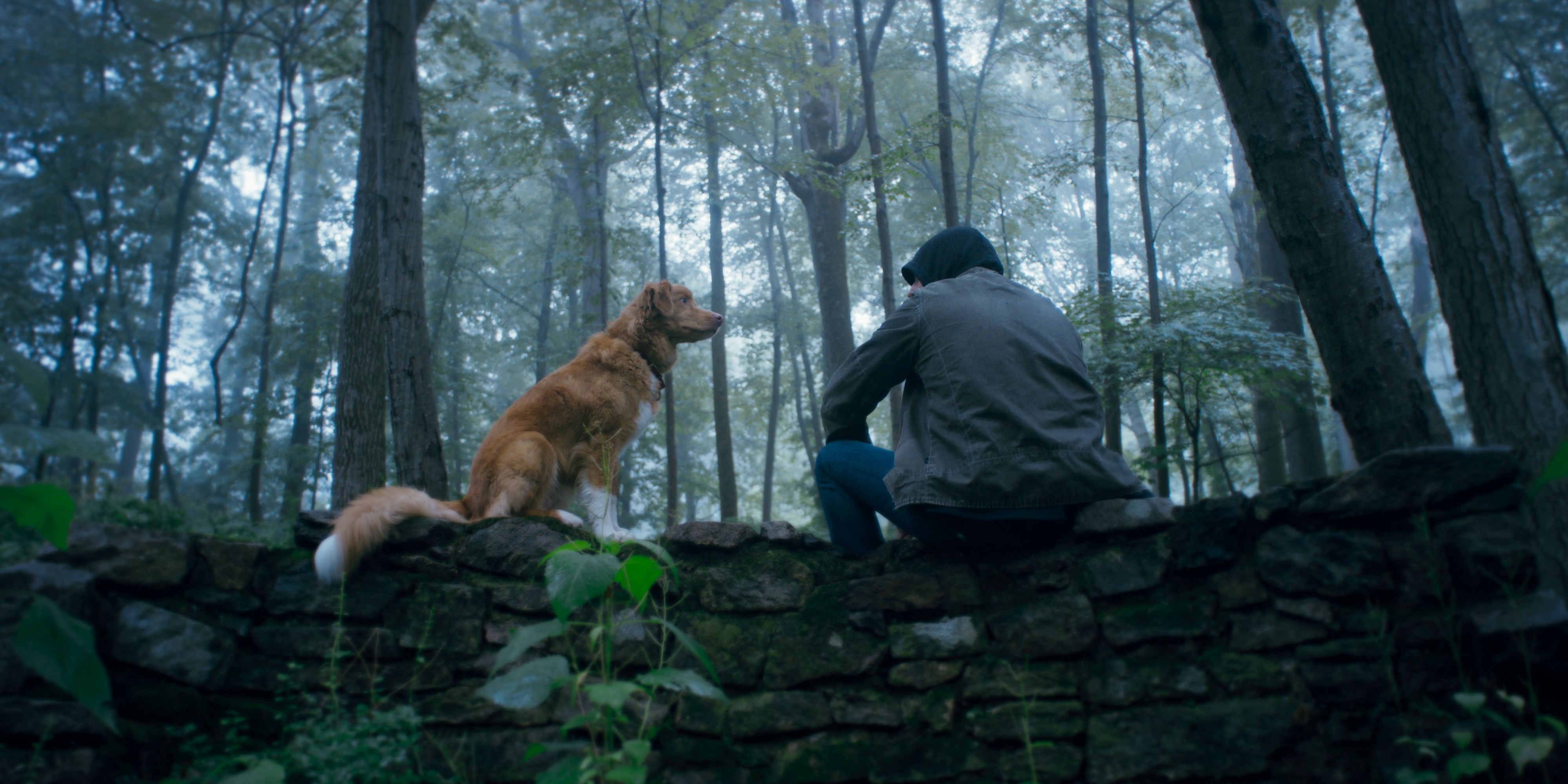 Good Boy – Trust His Instincts | Film-Rezensionen.de