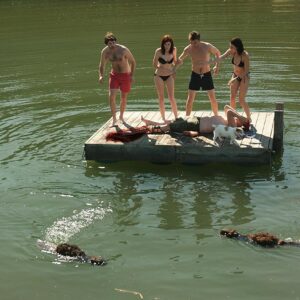 Brügge sehen… und sterben? | Film-Rezensionen.de